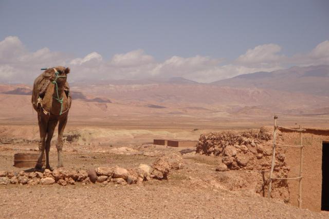 De l`oued à l`erg - Circuits - Fiche